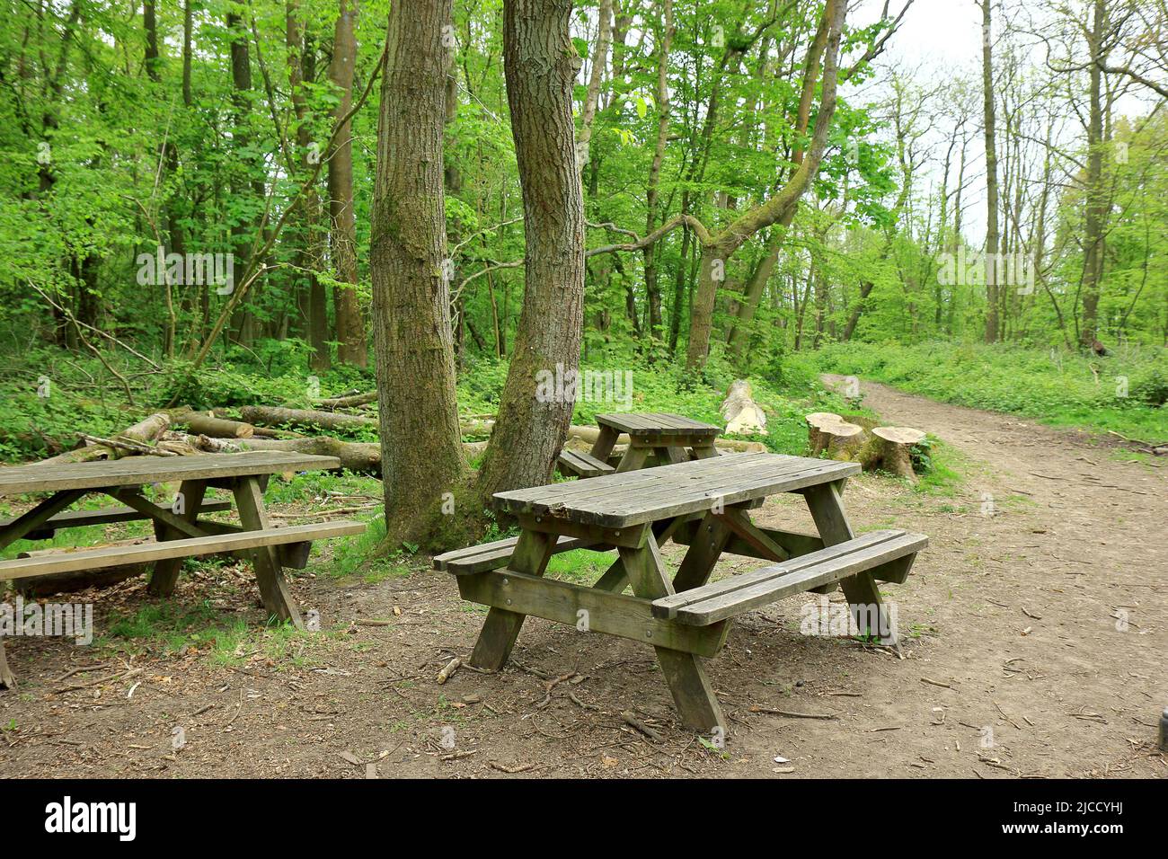 Picnic tables in a woodland countryside Stock Photo - Alamy