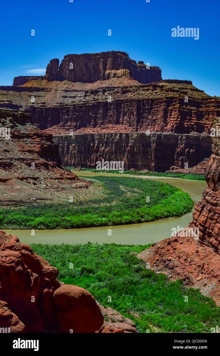 The Colorado Riverbed, overgrown with green vegetation. Canyonlands ...
