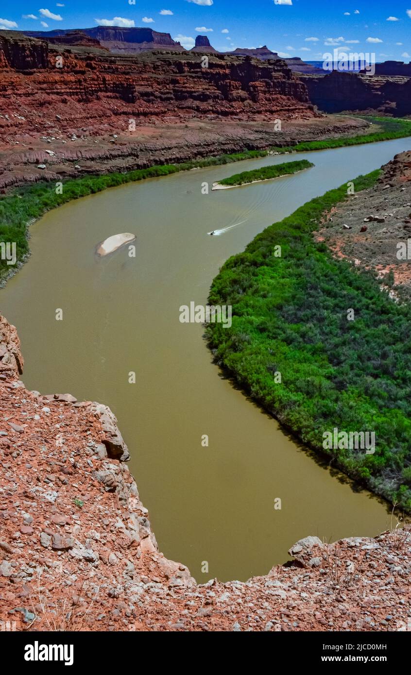 Boat on the water, the Colorado River bed, overgrown with green ...