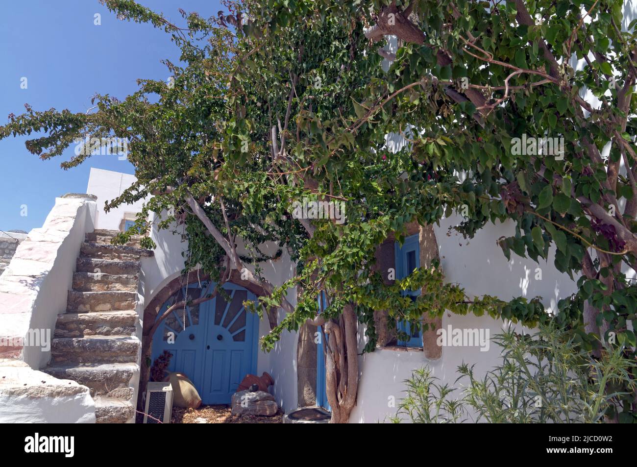 View of a house hidden by trees, in Megalo Chorio mountain village ...