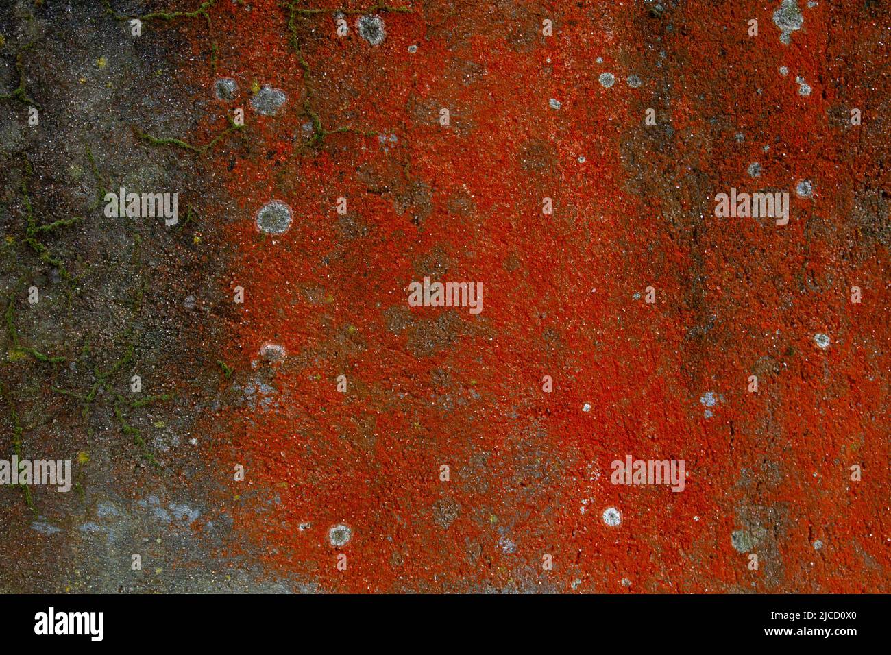 Old distressed red wall with damp, grunge textured background Stock ...