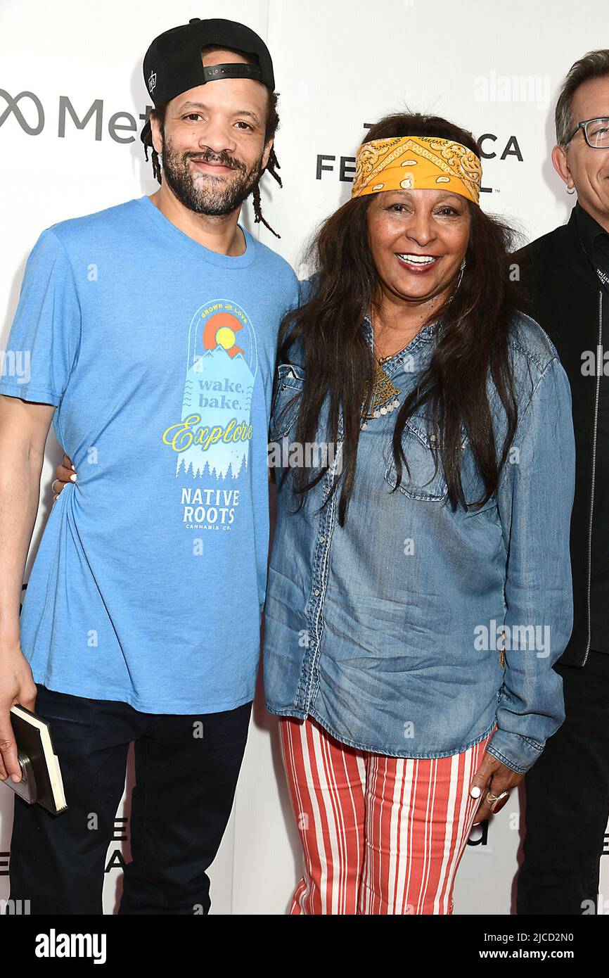 Robin pam hi-res stock photography and images - Alamy