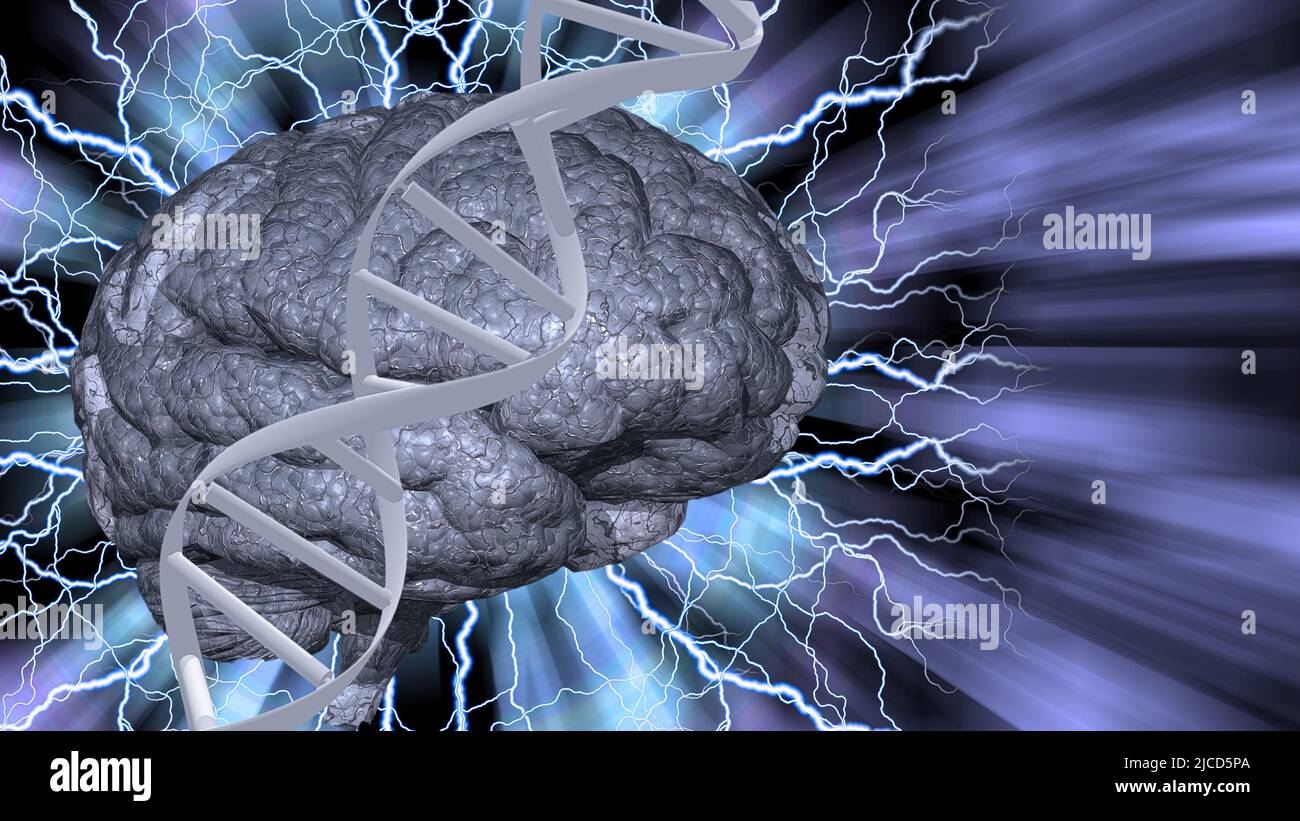 Human brain dna helix hi-res stock photography and images - Alamy