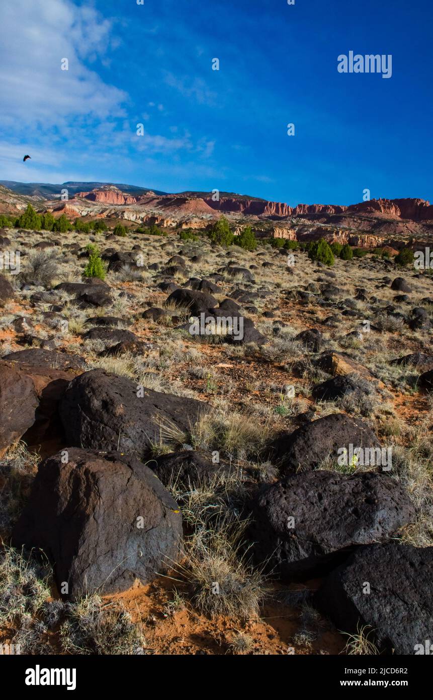 Volcanic bombs, molten lava from an ancient volcano, CANYONLANDS, Utah ...