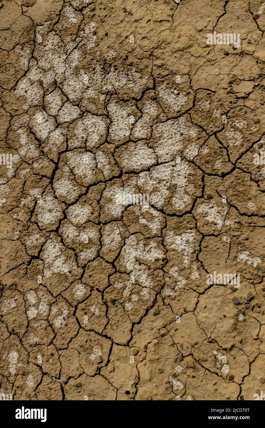 A pattern on dried silt. Dry land in the desert, Utah USA Stock Photo ...