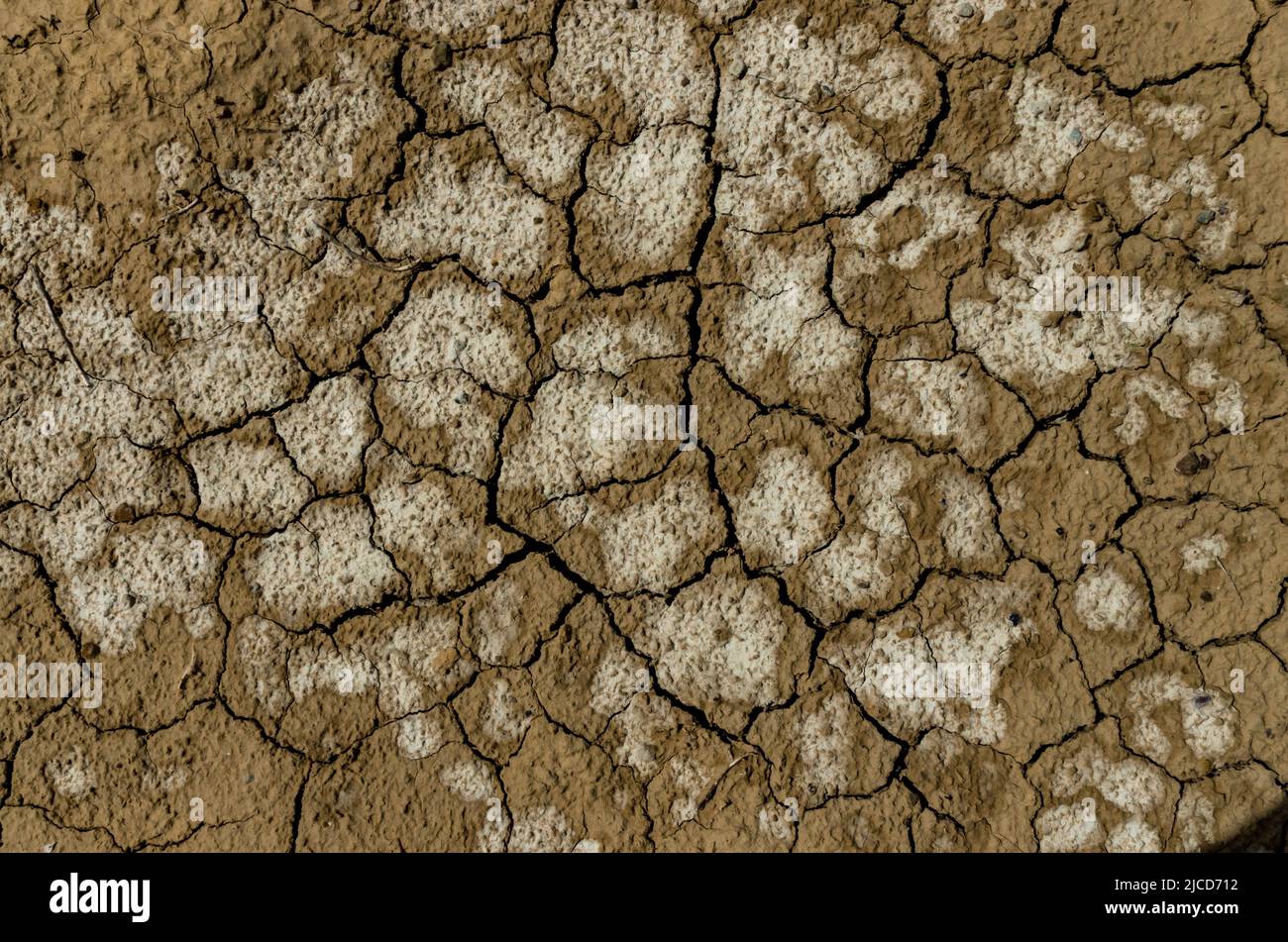 A pattern on dried silt. Dry land in the desert, Utah USA Stock Photo ...