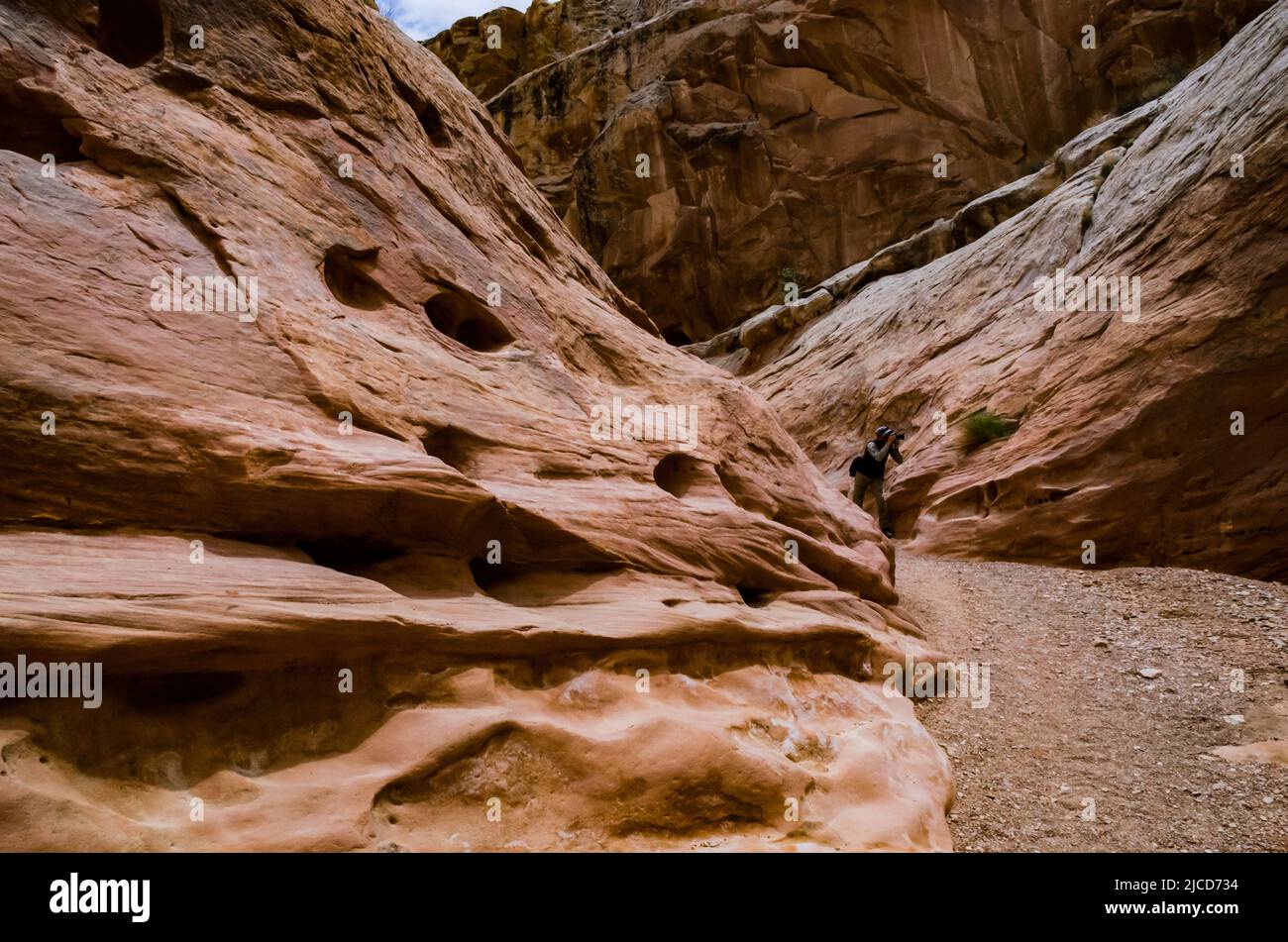 Eroded by water and wind cliffs in the canyon. Little Wild Horse Canyon ...