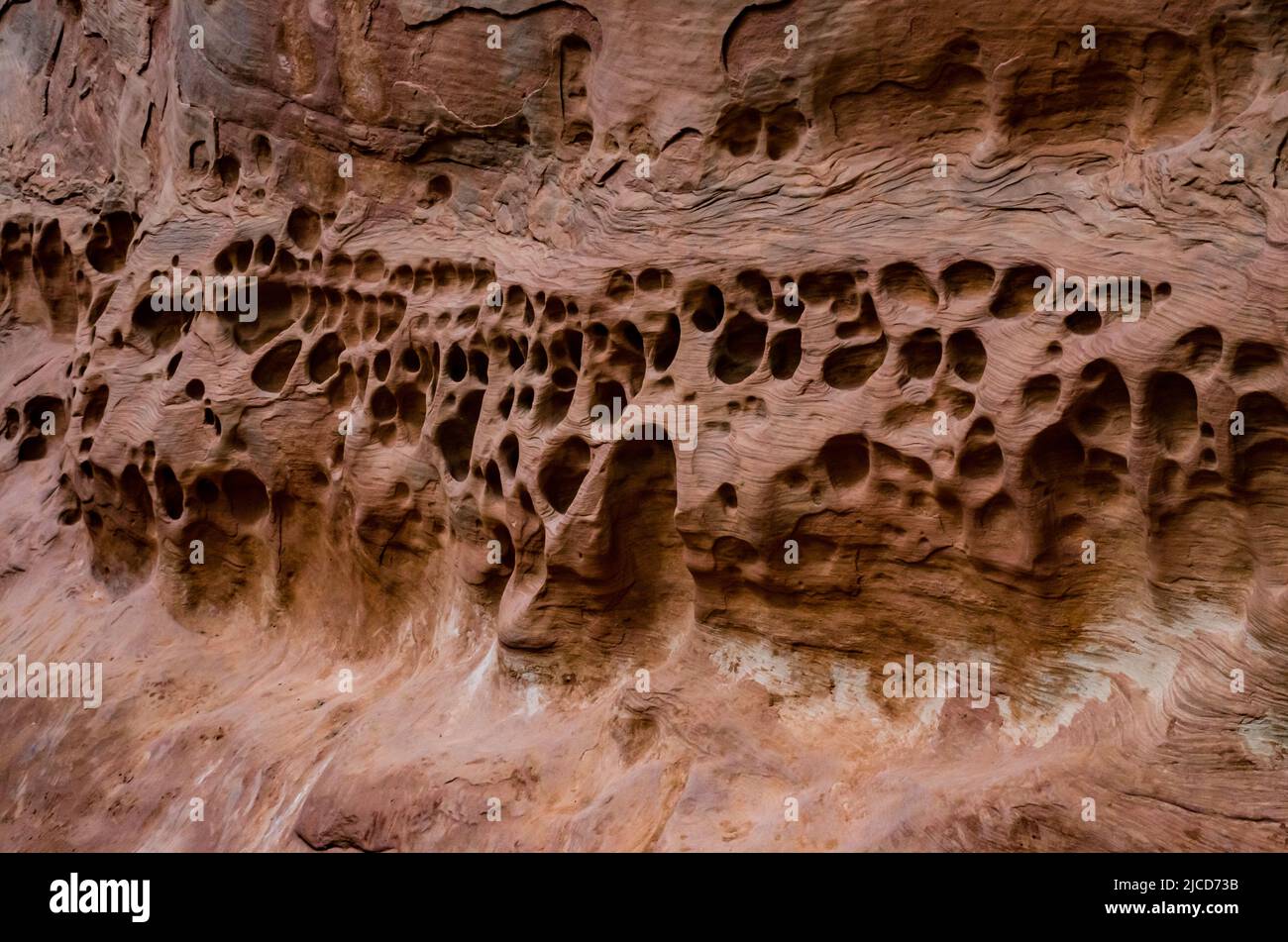 Eroded by water and wind cliffs in the canyon. Little Wild Horse Canyon ...