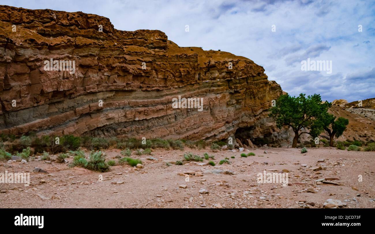 Eroded by water and wind cliffs in the canyon. Little Wild Horse Canyon ...