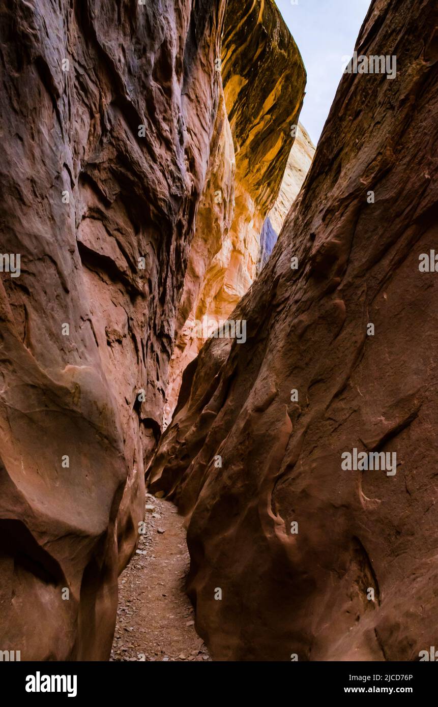 Eroded by water and wind cliffs in the canyon. Little Wild Horse Canyon ...