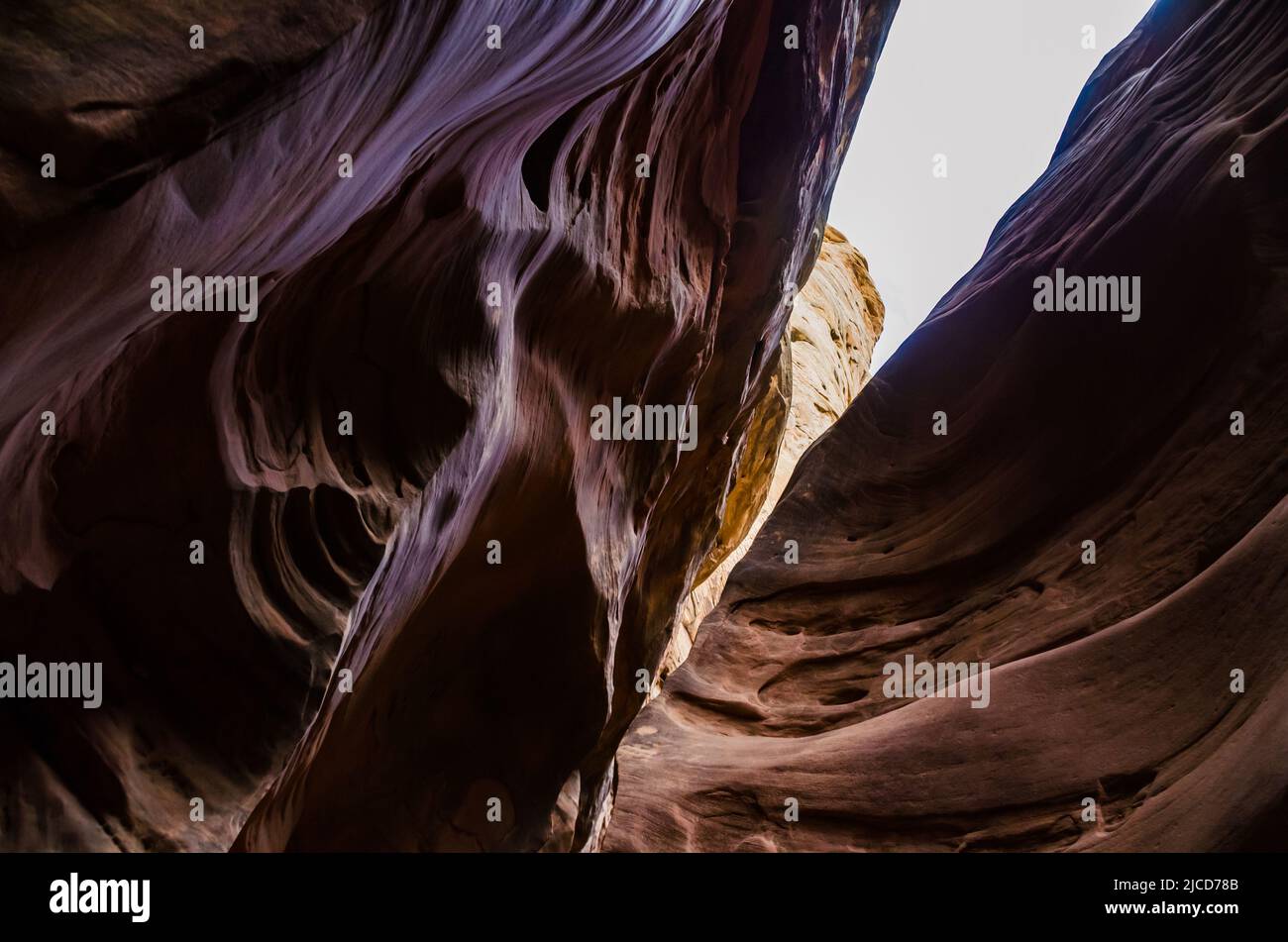 Eroded by water and wind cliffs in the canyon. Little Wild Horse Canyon ...