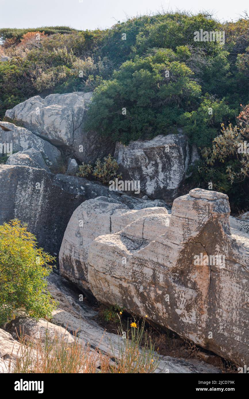 The unfinished marble Kouros of Apollonas (also called the Colossus of ...