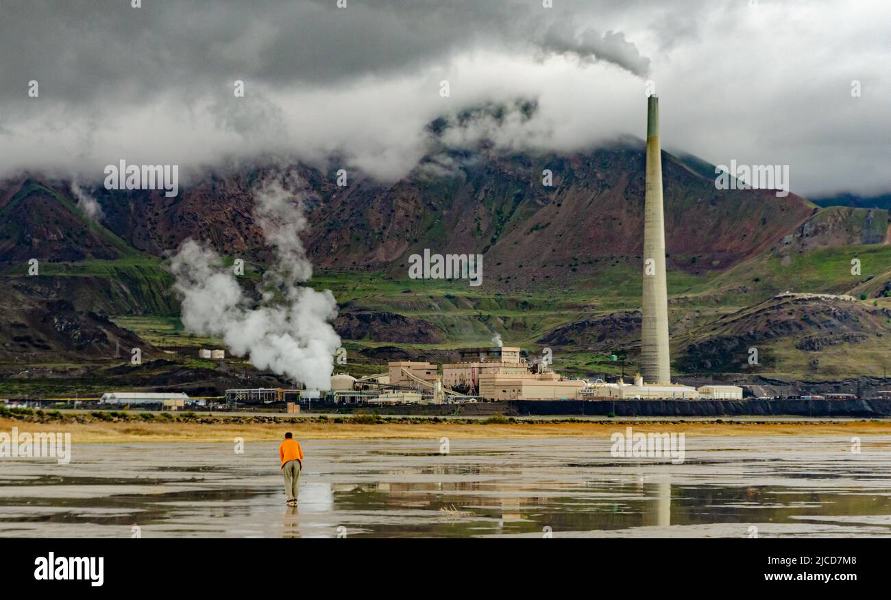 Oil refinery and a factory for obtaining silver on the shore of the ...