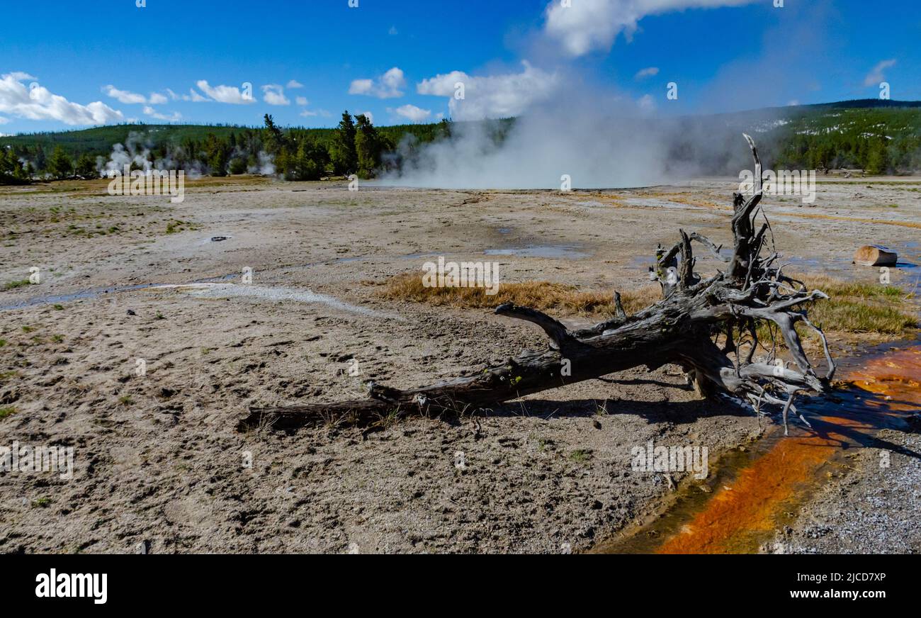 Boiling water bubbler Geyser. Active geyser with major eruptions ...