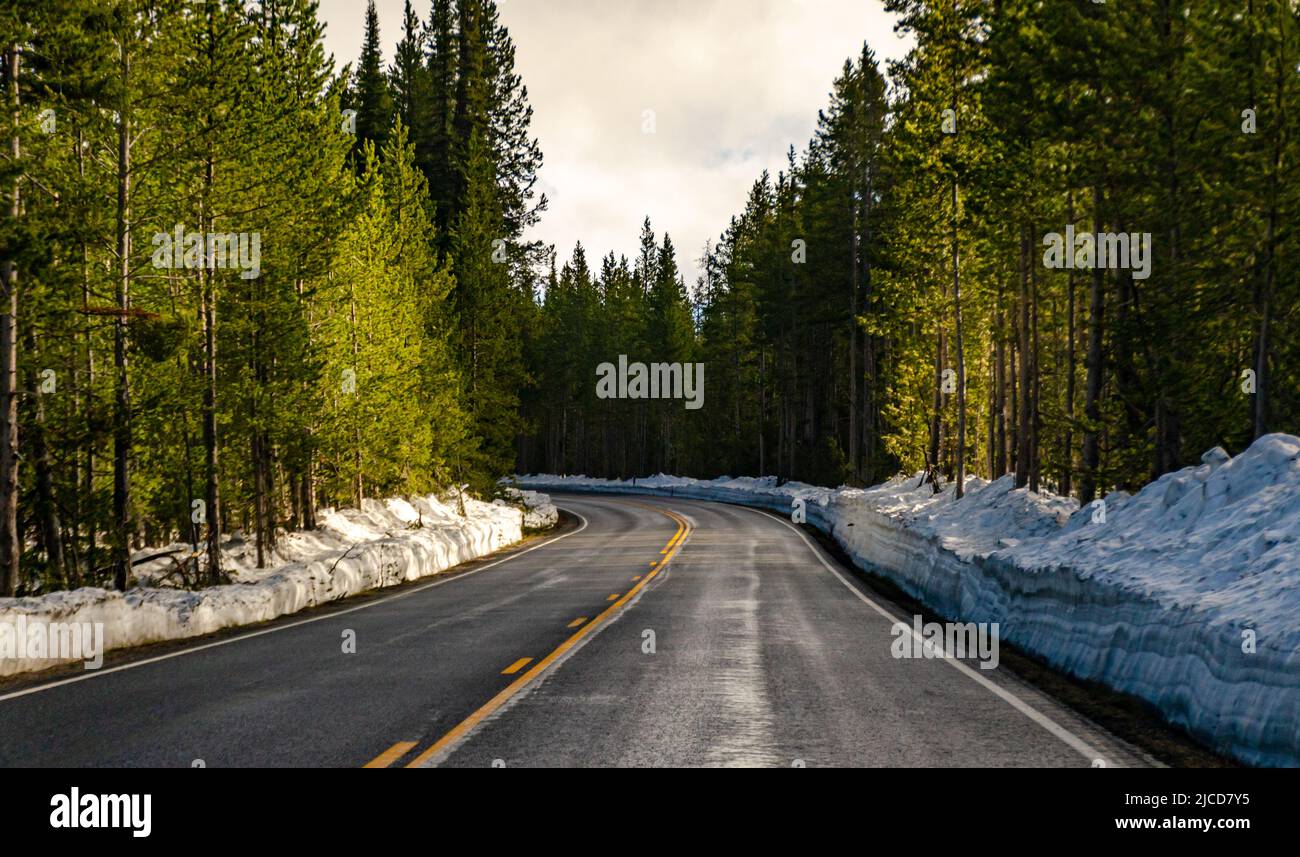 Asphalt road to Yellowstone National Park cleared of snow in early ...