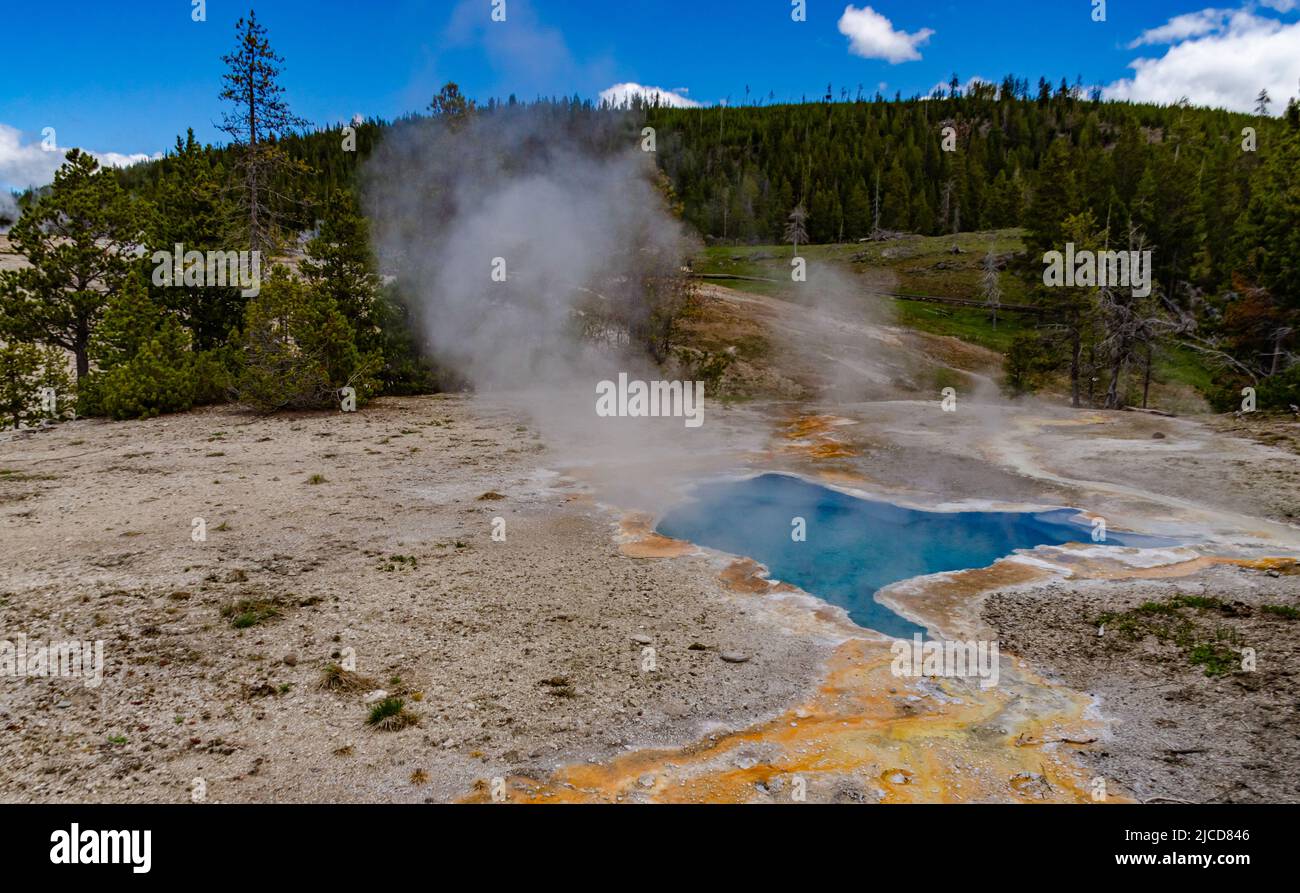 Boiling water bubbler Geyser. Active geyser with major eruptions ...