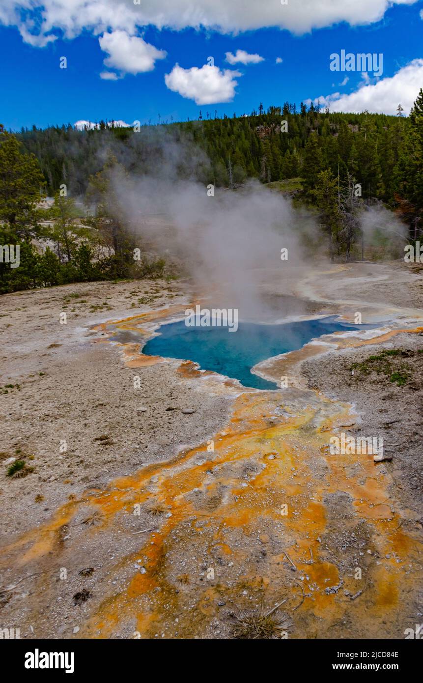 Boiling water bubbler Geyser. Active geyser with major eruptions ...