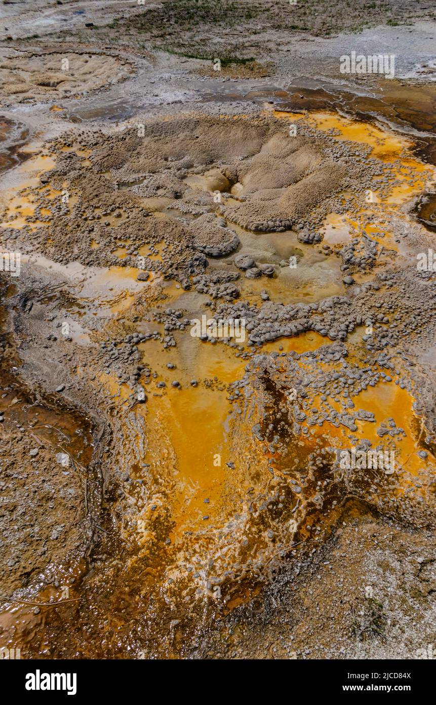 Algae-bacterial mats. Hot thermal spring, hot pool in the Yellowstone ...