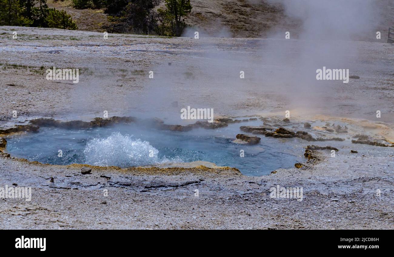 Boiling water bubbler Geyser. Active geyser with major eruptions ...