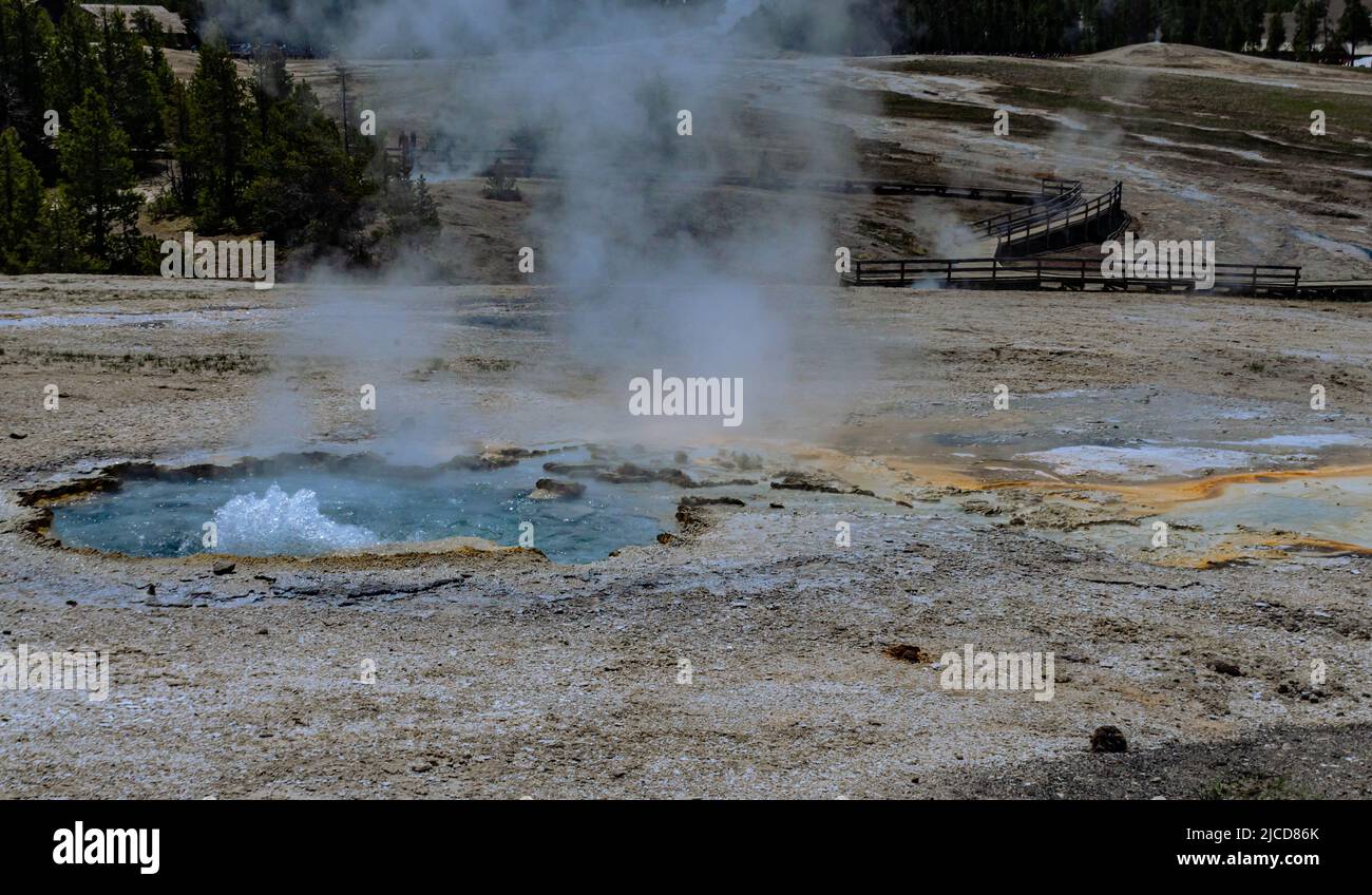 Boiling water bubbler Geyser. Active geyser with major eruptions ...