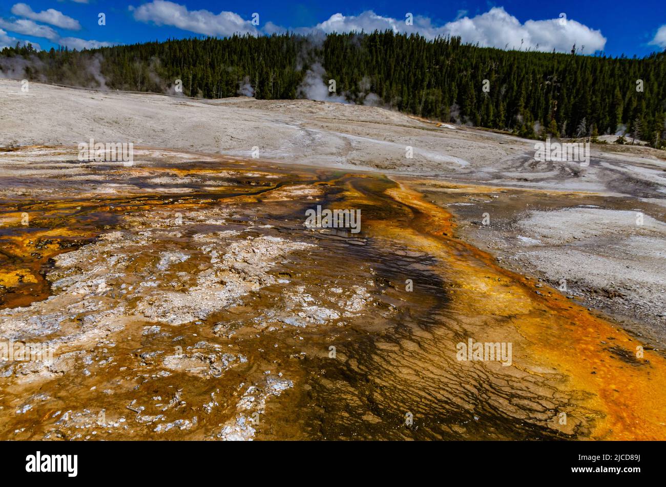 Algae-bacterial mats. Hot thermal spring, hot pool in the Yellowstone ...