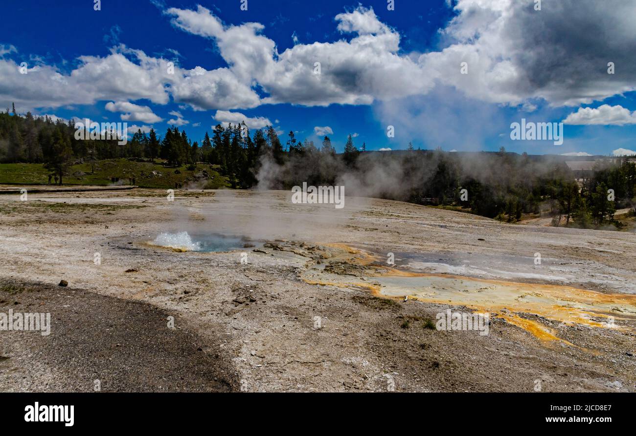 Geyser Old Faithful erupts in Yellowstone National Park in Wyoming, USA ...