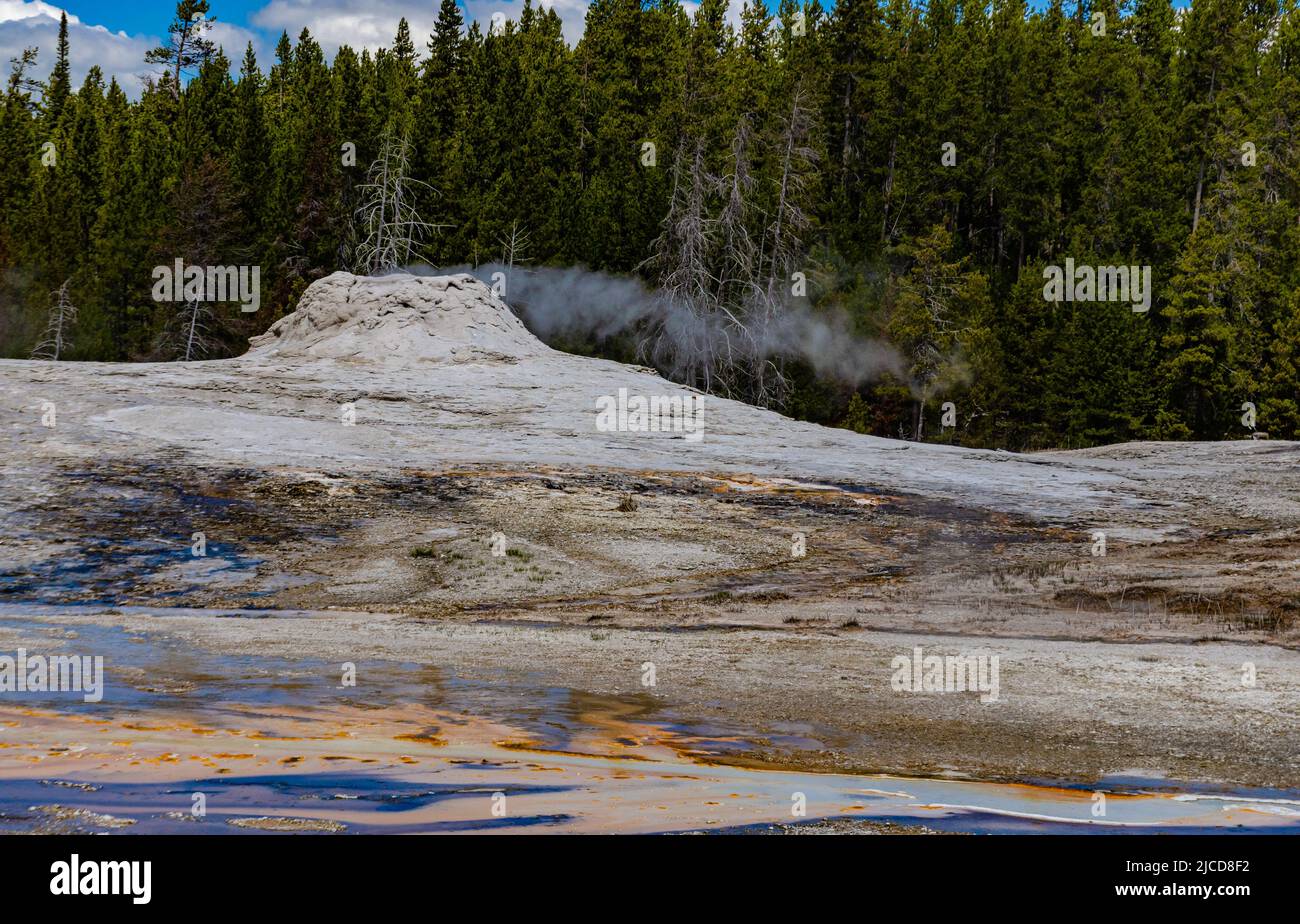 Boiling water bubbler Geyser. Active geyser with major eruptions ...