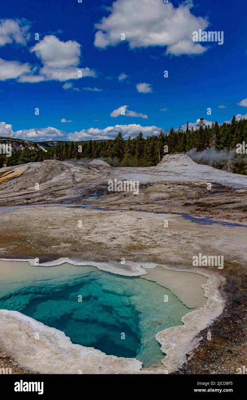 Boiling water bubbler Geyser. Active geyser with major eruptions ...