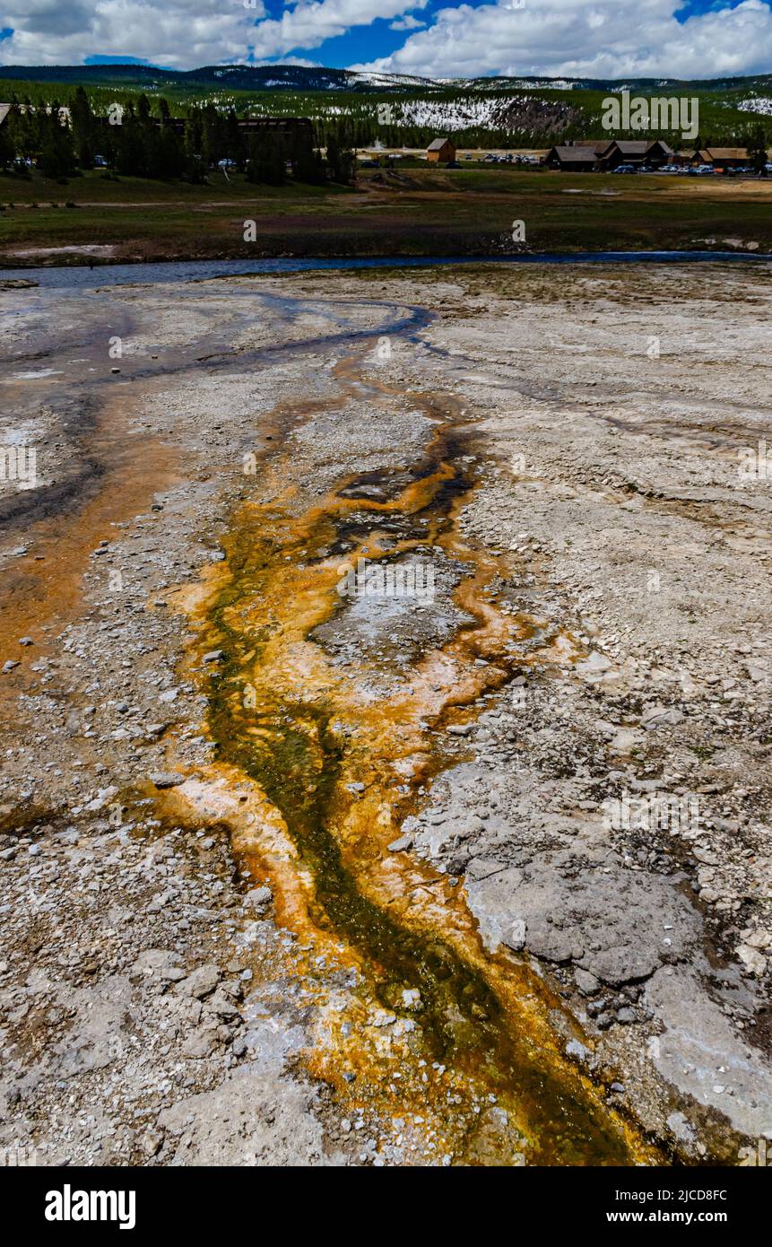 Algae-bacterial mats. Hot thermal spring, hot pool in the Yellowstone ...