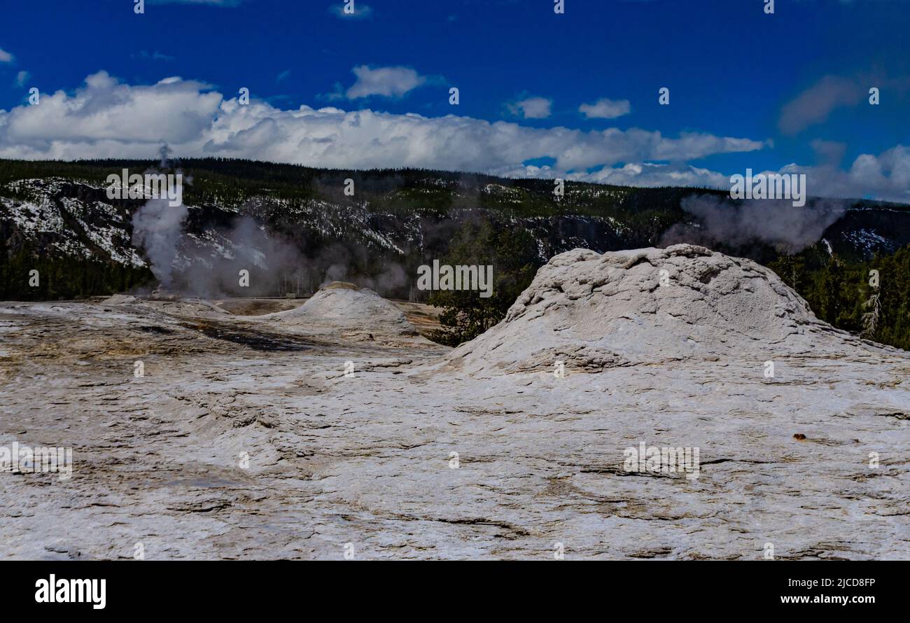 Boiling water bubbler Geyser. Active geyser with major eruptions ...