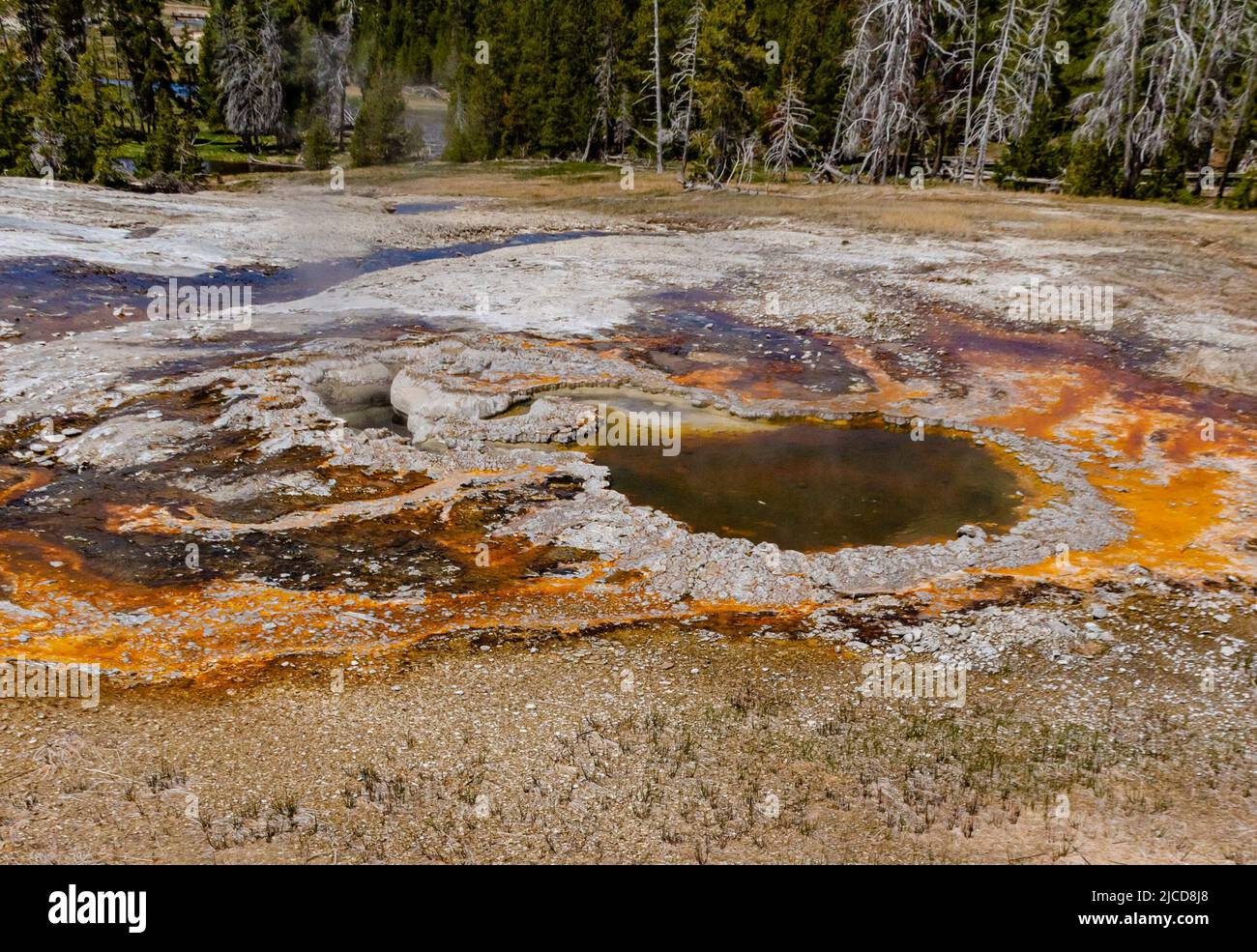 Boiling water bubbler Geyser. Active geyser with major eruptions ...