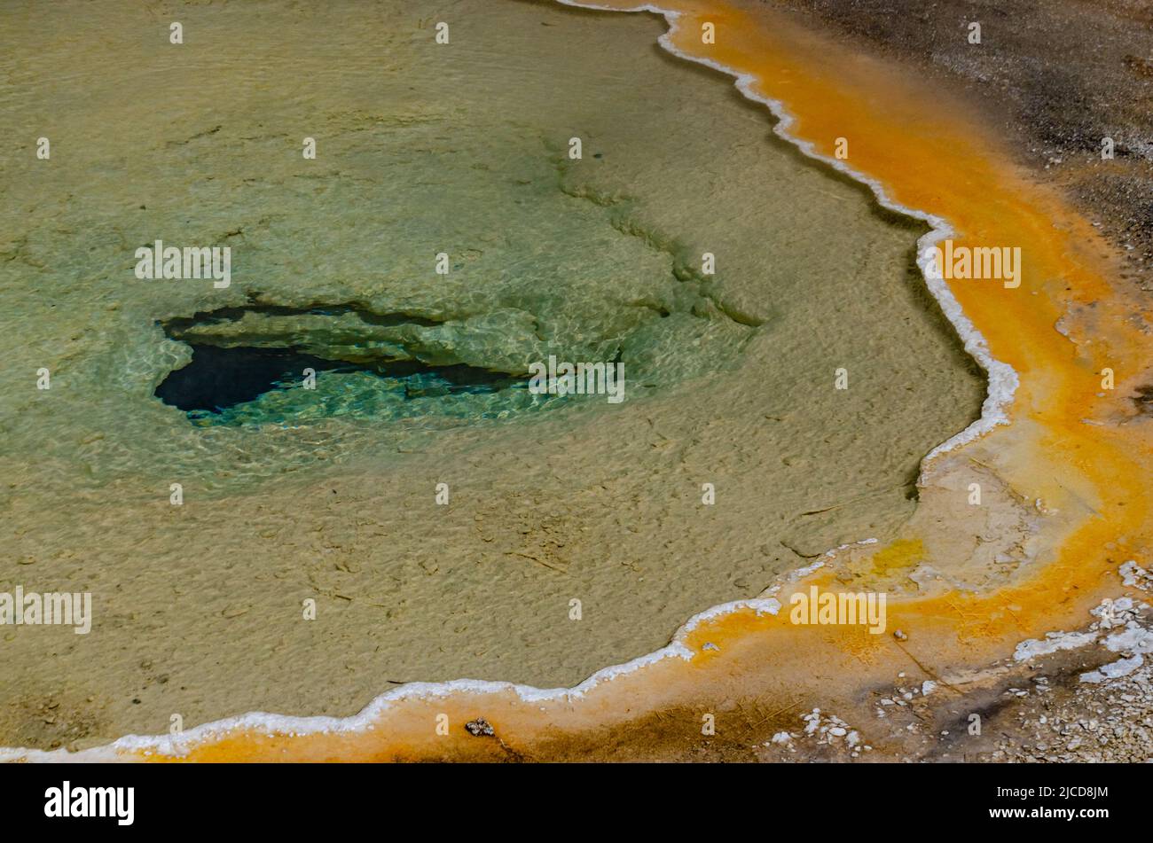 Algae-bacterial mats. Hot thermal spring, hot pool in the Yellowstone ...