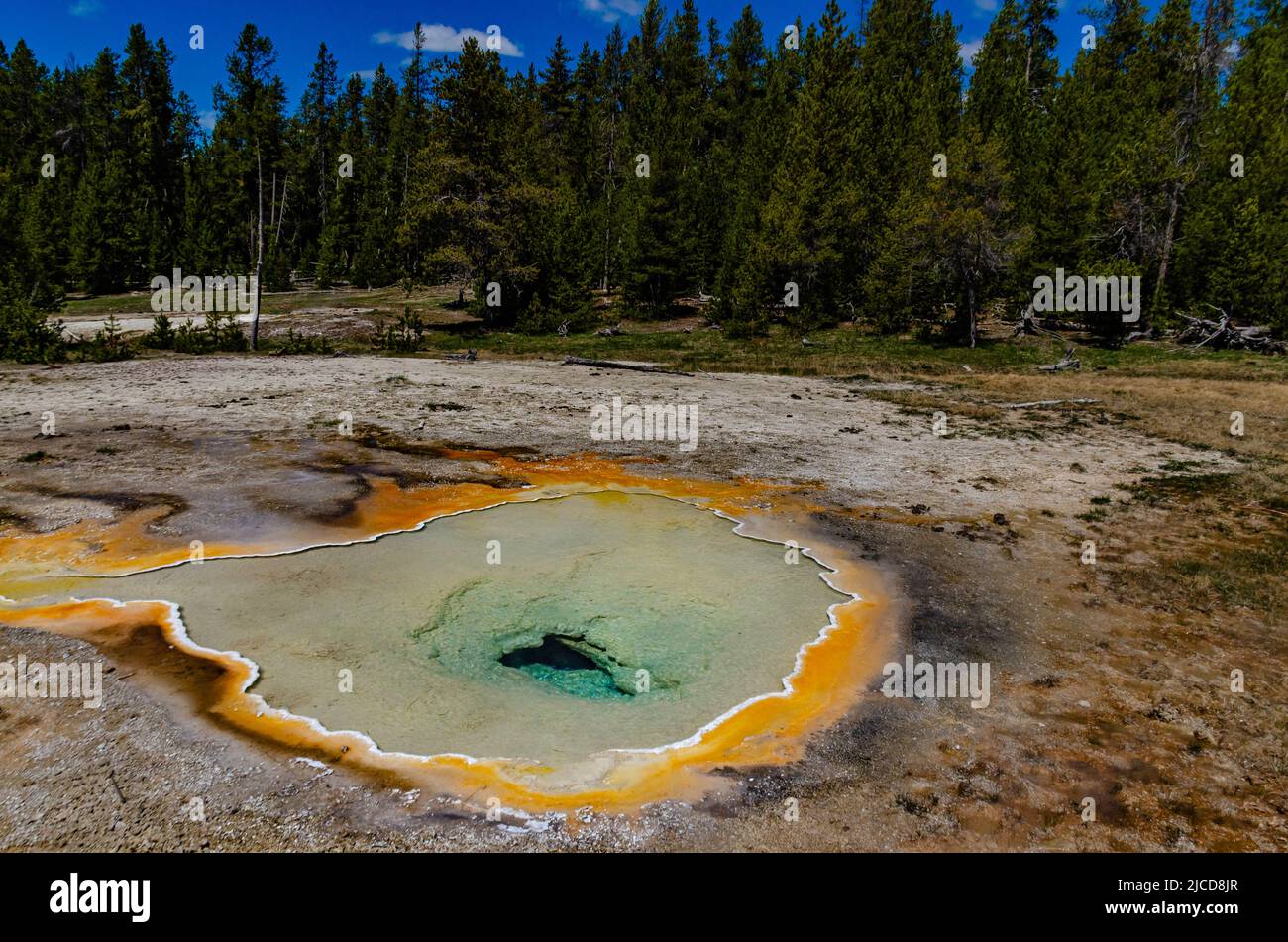 Algae-bacterial mats. Hot thermal spring, hot pool in the Yellowstone ...