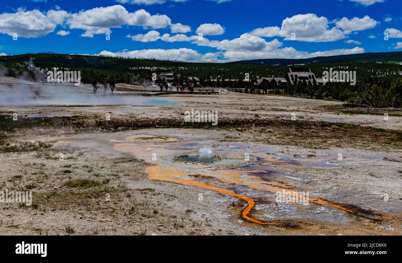 Boiling water bubbler Geyser. Active geyser with major eruptions ...