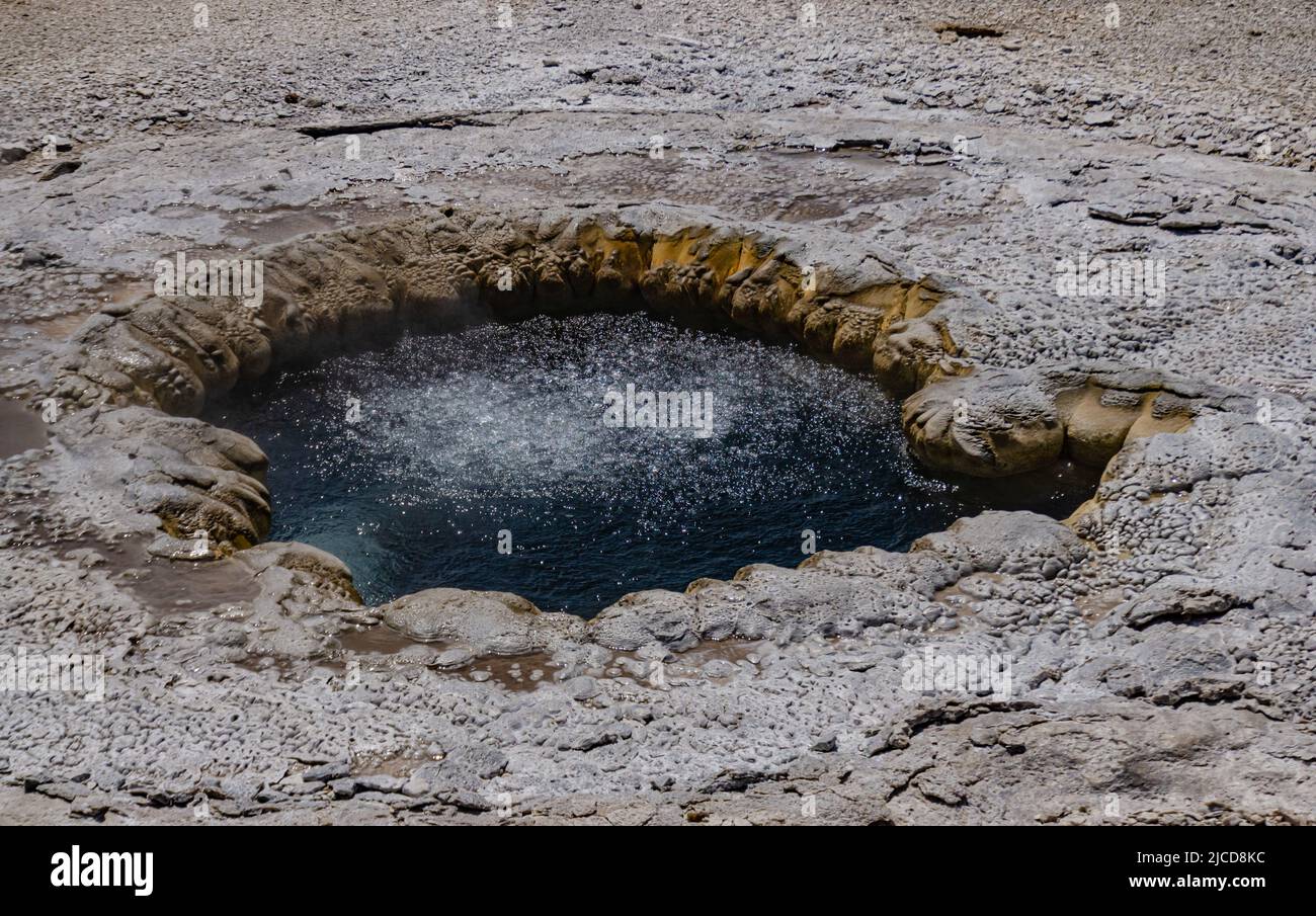 Boiling water bubbler Geyser. Active geyser with major eruptions ...