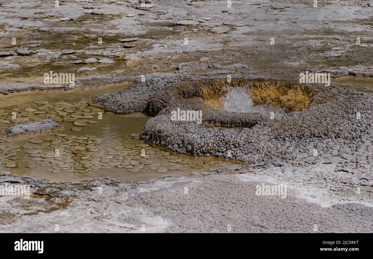 Boiling water bubbler Geyser. Active geyser with major eruptions ...