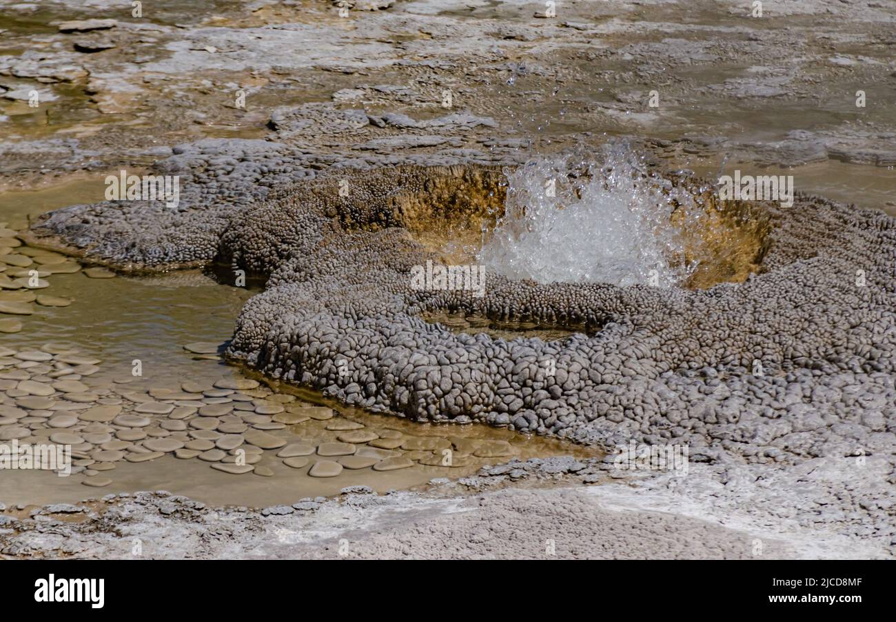 Boiling water bubbler Geyser. Active geyser with major eruptions ...