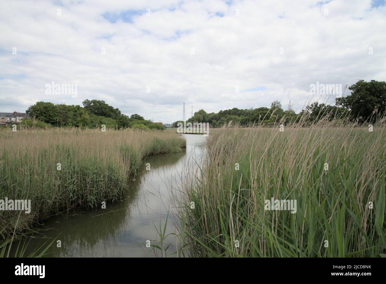 Eling board walk hi-res stock photography and images - Alamy