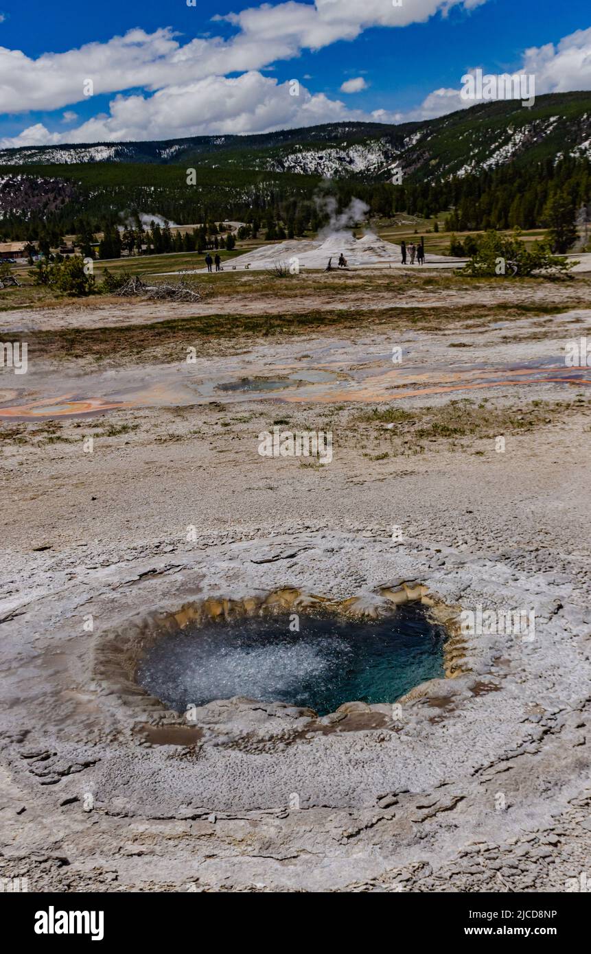 Boiling water bubbler Geyser. Active geyser with major eruptions ...