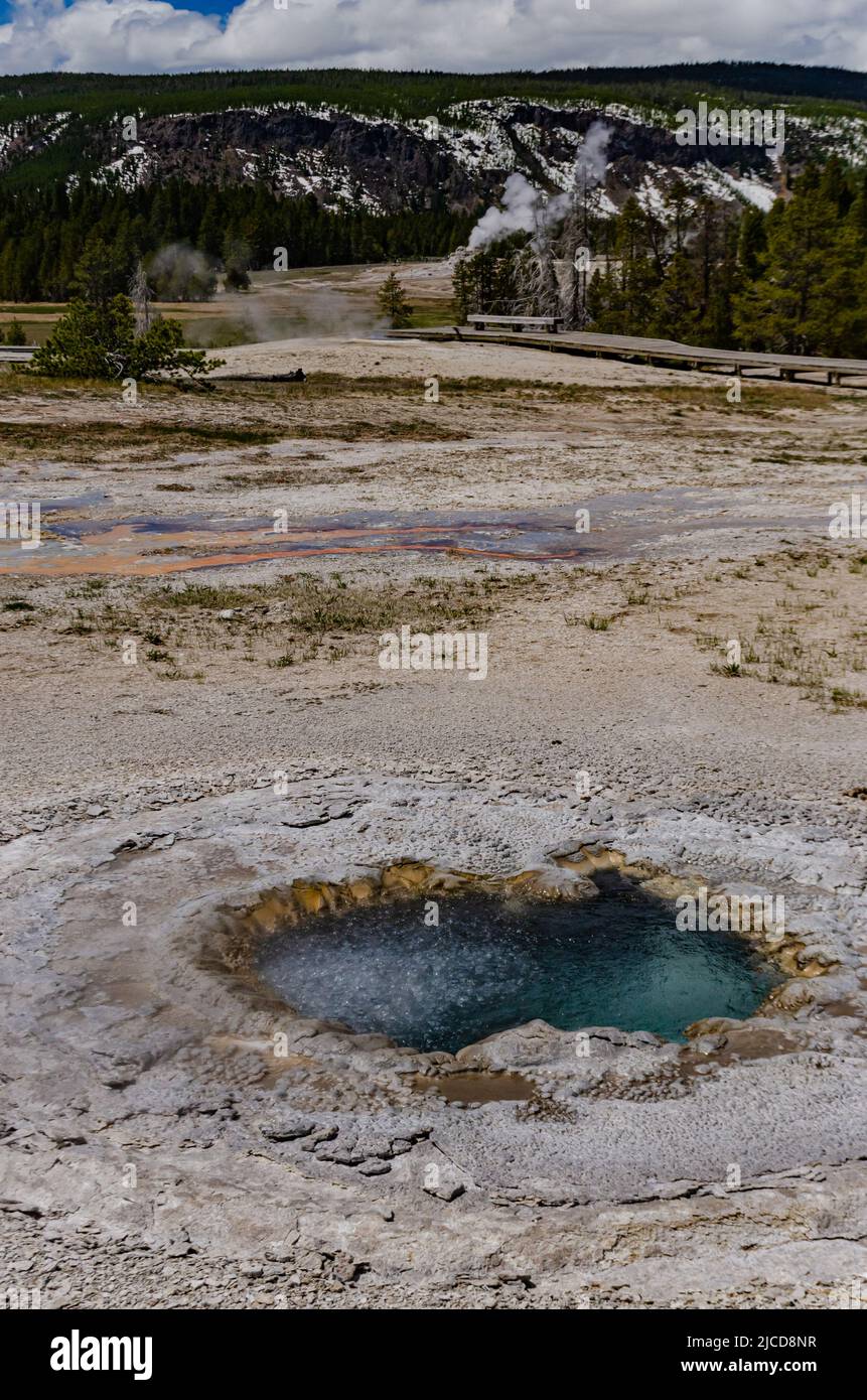 Boiling water bubbler Geyser. Active geyser with major eruptions ...
