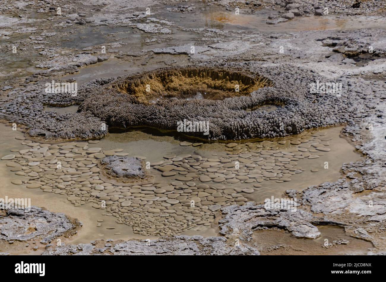 Boiling water bubbler geyser hi-res stock photography and images - Alamy