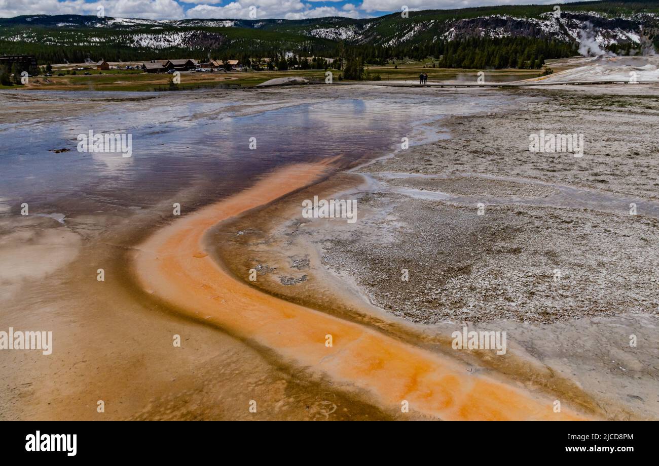 Algae-bacterial mats. Hot thermal spring, hot pool in the Yellowstone ...