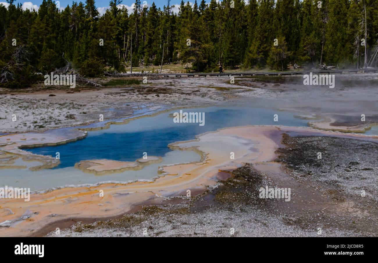 Boiling water bubbler Geyser. Active geyser with major eruptions ...