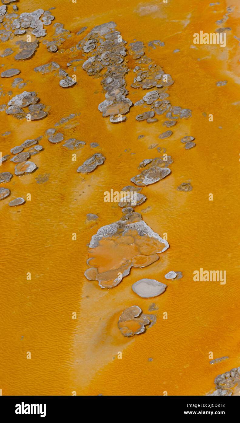 Thermophilic bacteria mats hi-res stock photography and images - Alamy