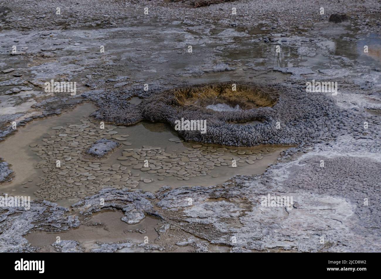Boiling water bubbler Geyser. Active geyser with major eruptions ...