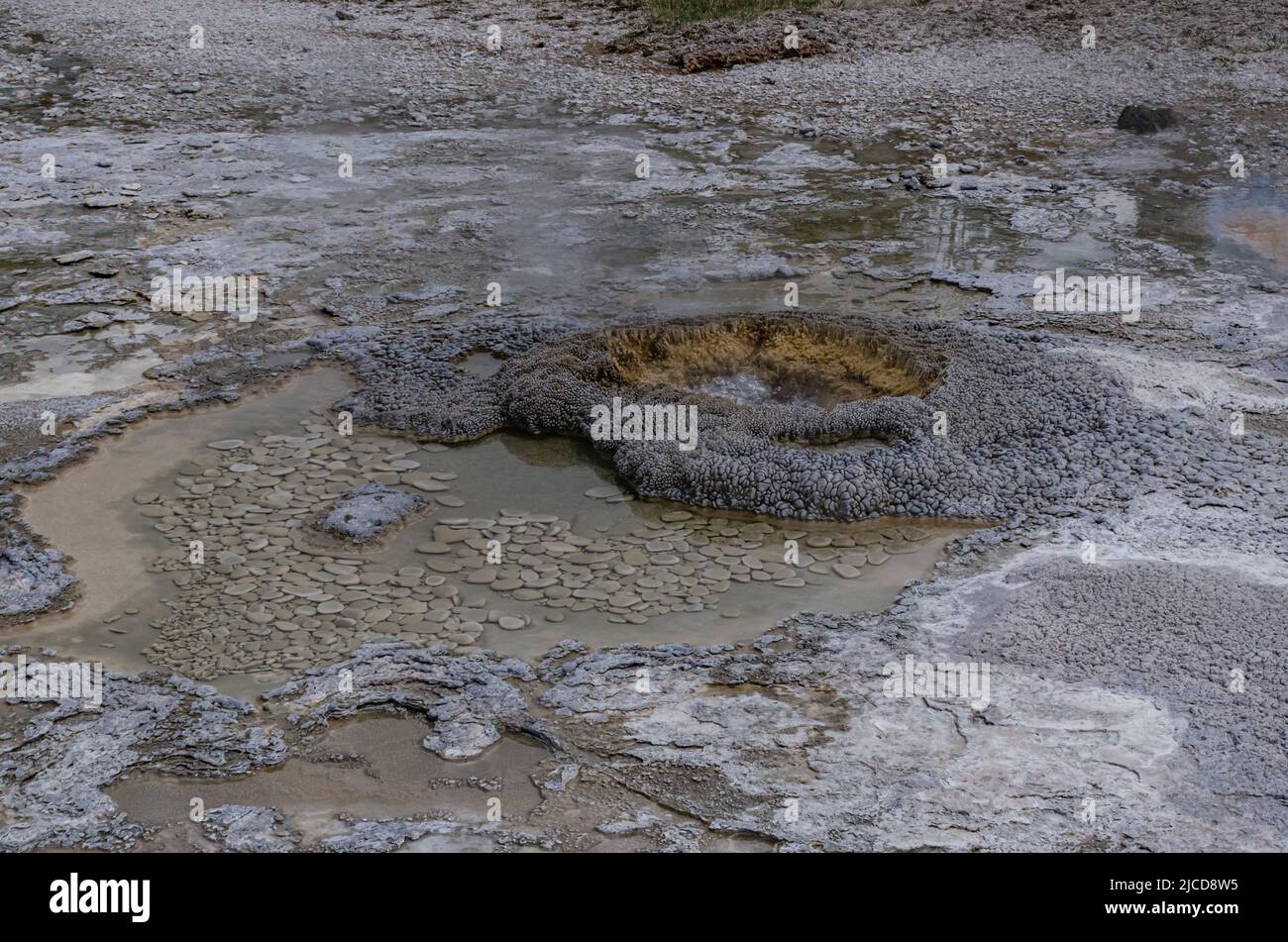 Boiling water bubbler Geyser. Active geyser with major eruptions ...