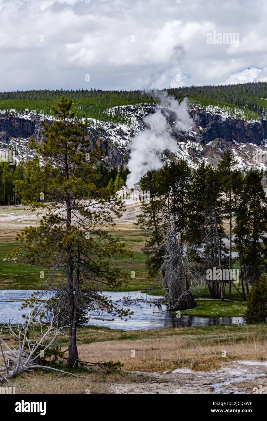Boiling water bubbler Geyser. Active geyser with major eruptions ...