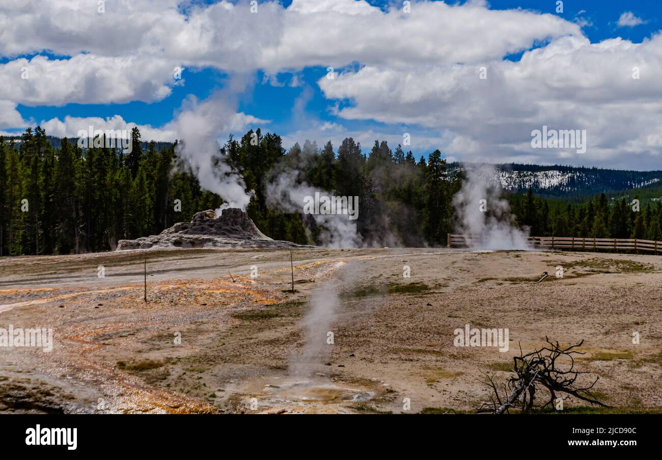 Boiling water bubbler Geyser. Active geyser with major eruptions ...