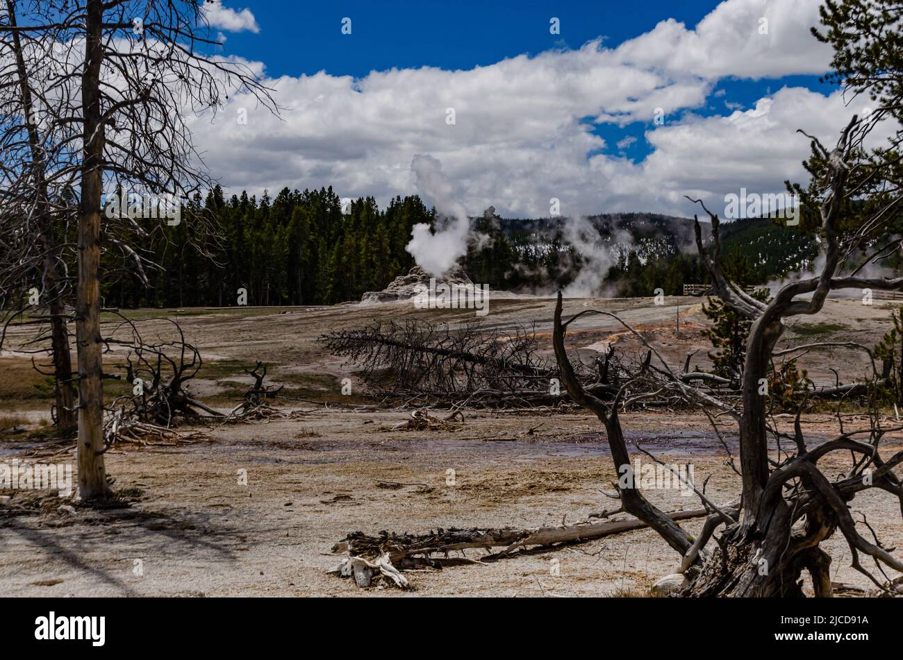 Boiling water bubbler geyser hi-res stock photography and images - Alamy
