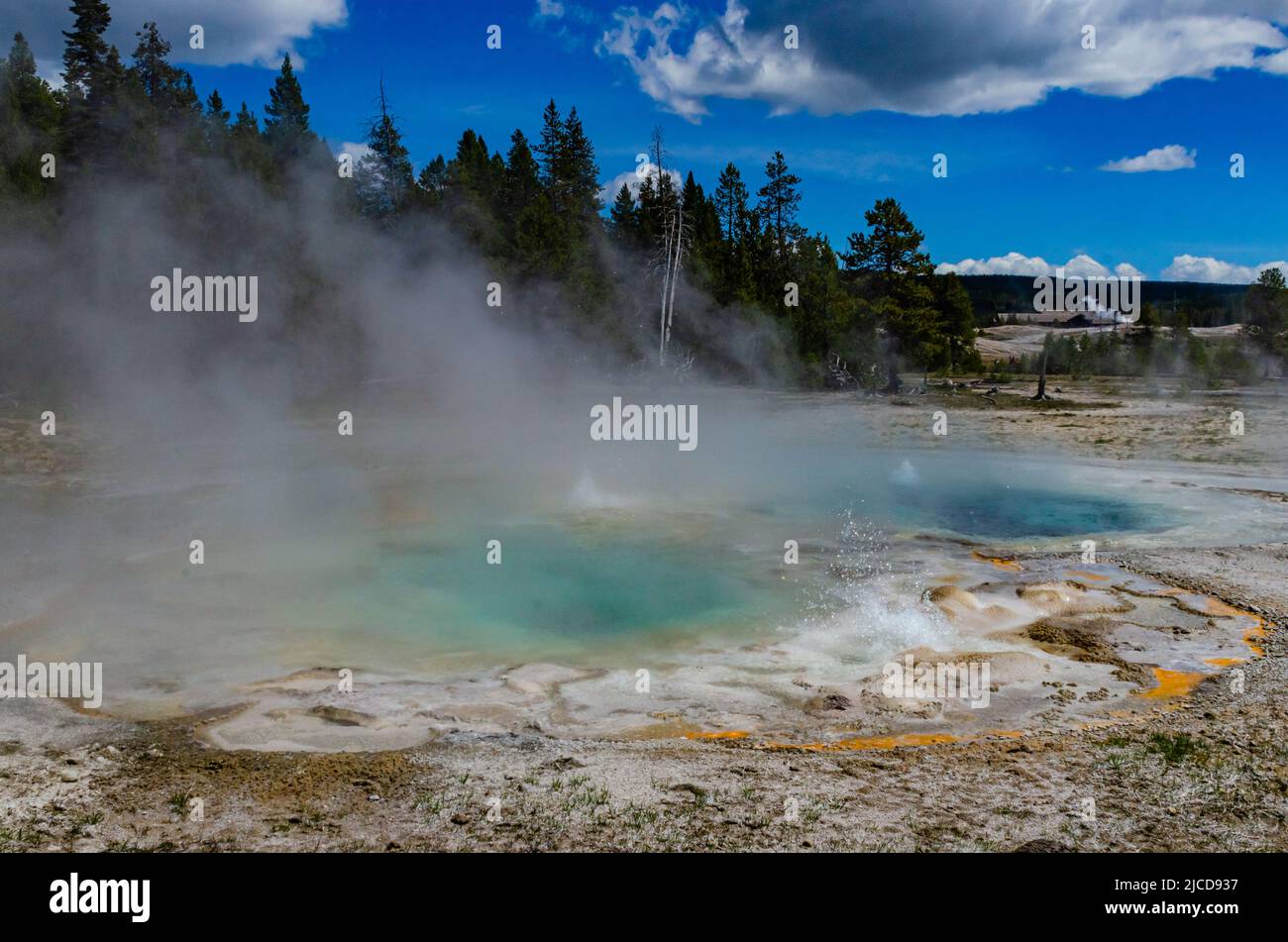 Boiling water bubbler Geyser. Active geyser with major eruptions ...